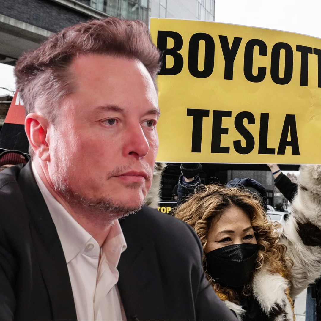 Investors Laugh at Elon Musk's Misfortune, Earning Billions as Tesla ...