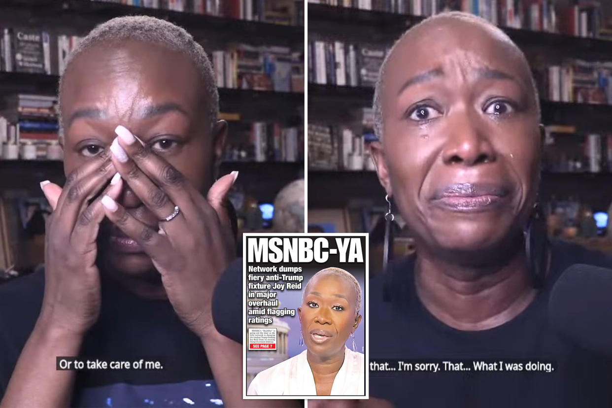 Joy Reid lost her temper and broke her silence after being mercilessly ...