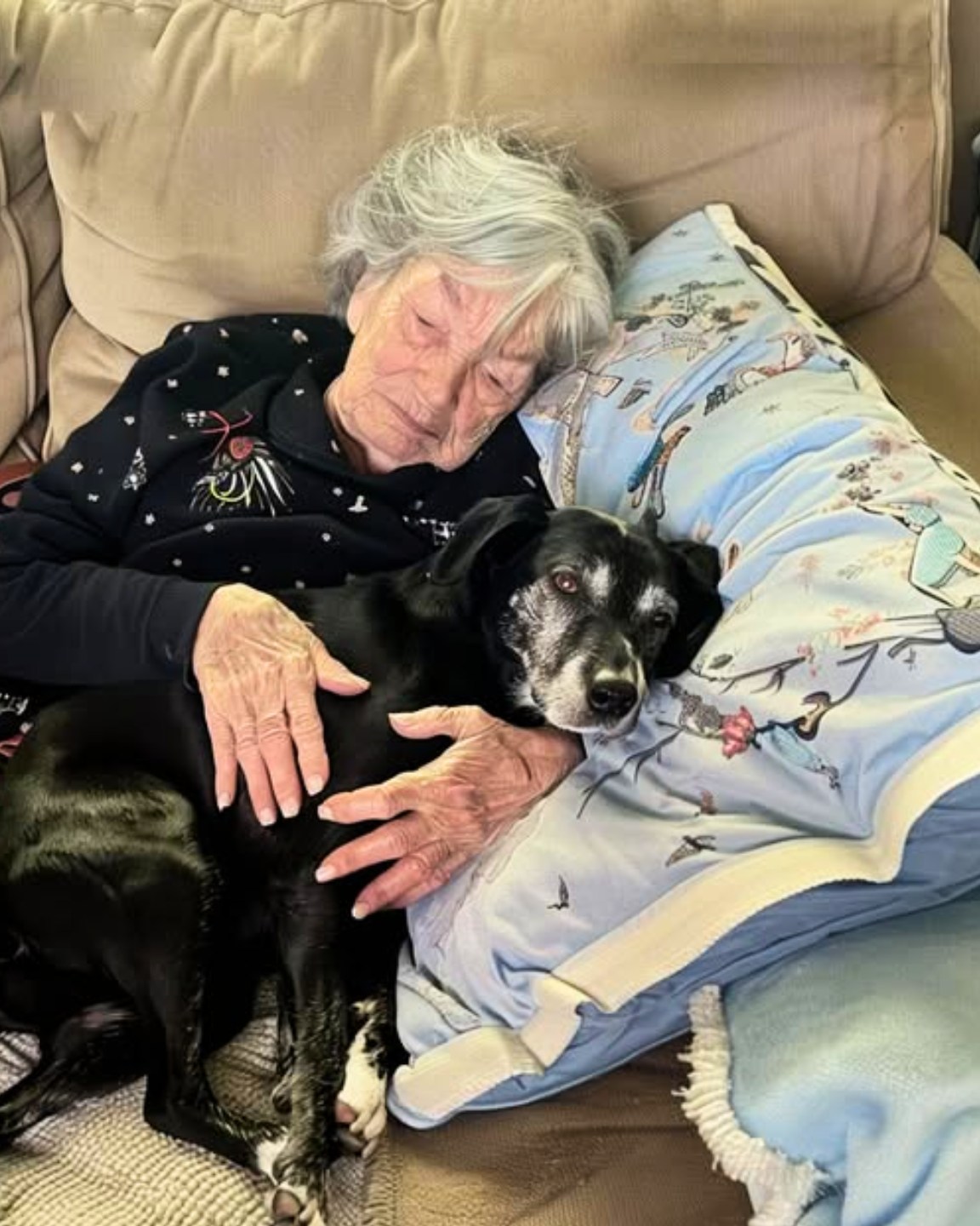 While My Family Fought Over Grandma’s Will, I Was the Only One Who Took ...
